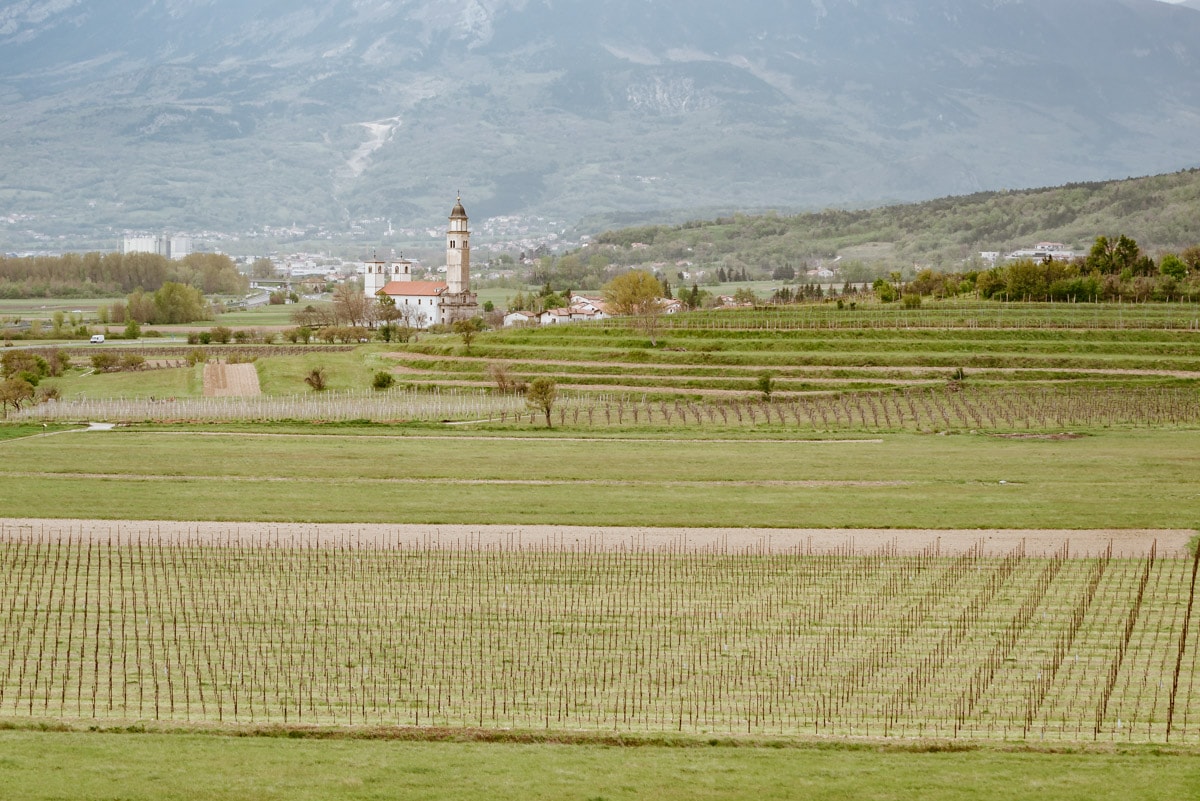 Dvorec Zemono poroka - Poroka v srcu Vipavske doline